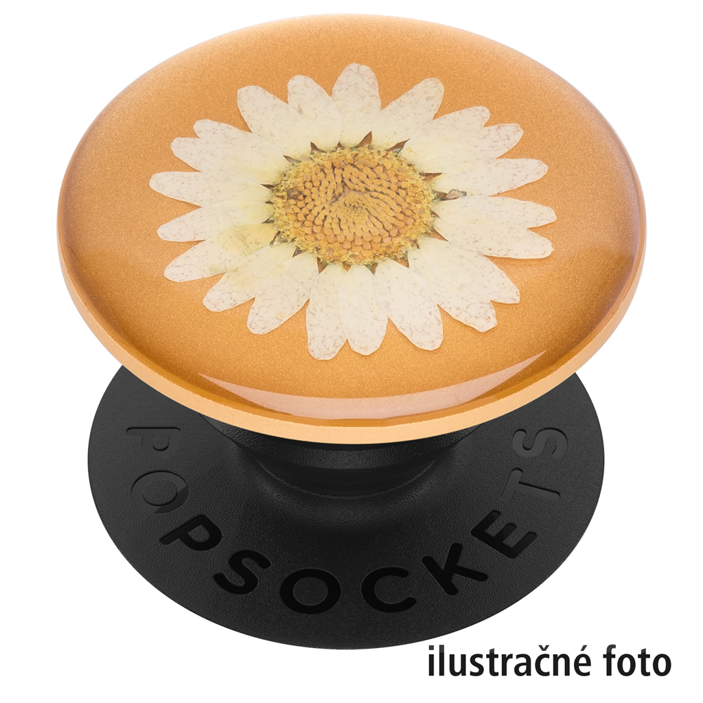 PopSockets PopGrip Gen.2, Pressed Flower White Daisy, biely kvietok ...